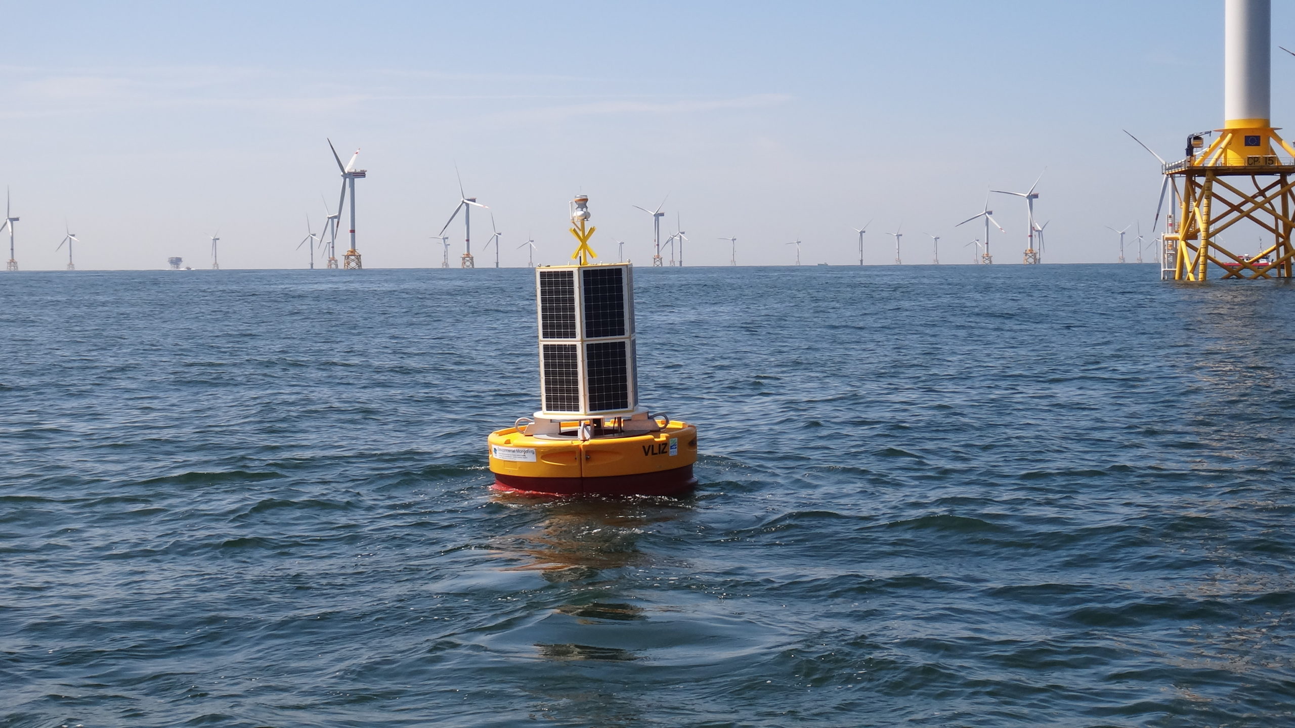 2.6m Metocean Buoy (Skua) | OSIL